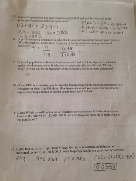 Solved Population genetics | Chegg.com