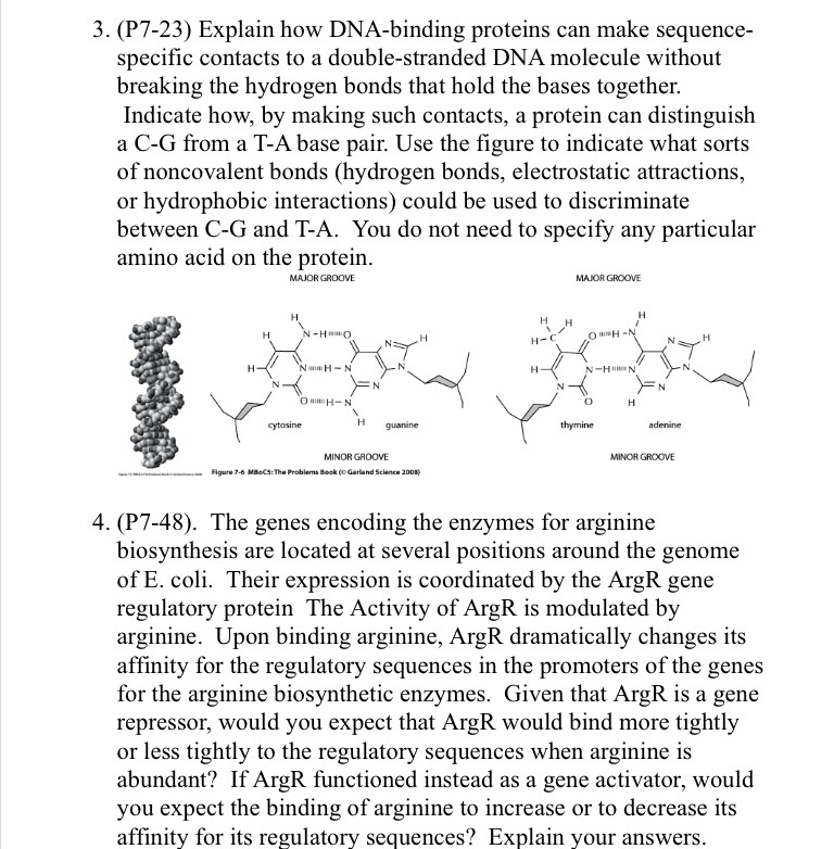 Solved Molecular Biology , PLEASE HELP! | Chegg.com