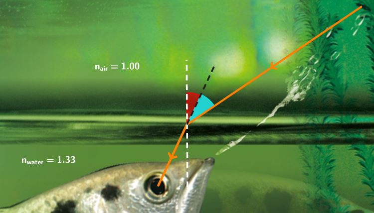 Solved From the photograph below, find the angle (shown in | Chegg.com