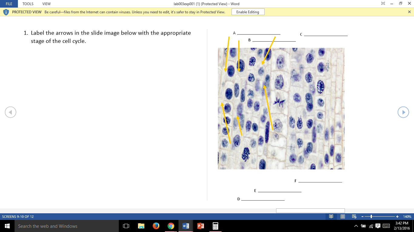 Solved Lab003exp001 1 Protected View Word File Tools