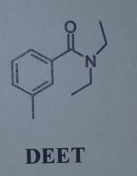 Solved DEET | Chegg.com