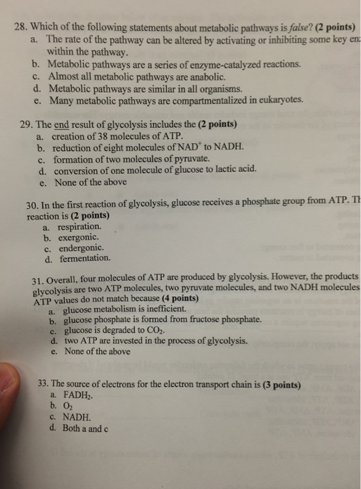 Solved 28. Which of the following statements about metabolic | Chegg.com