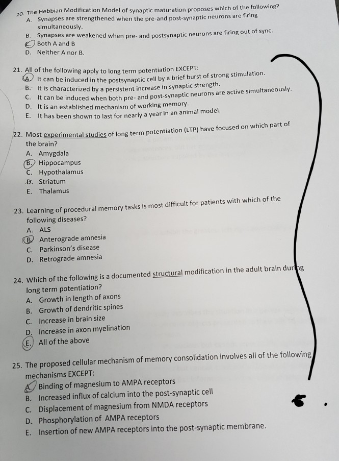 Solved 20. The Hebbian Modification Mo del of synaptic | Chegg.com