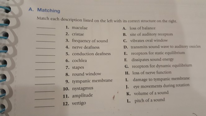 Solved A. Matching Match each description listed on the left | Chegg.com