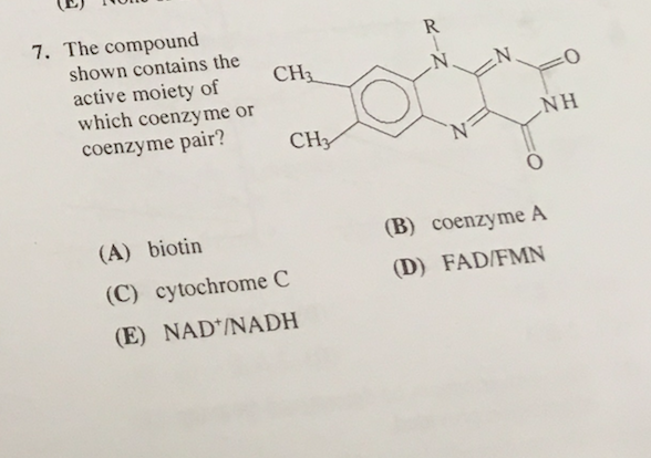 Solved The compound shown contains the active moiety of | Chegg.com