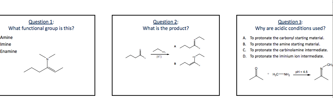 Solved What functional group is this? Amine Imine Enamine | Chegg.com