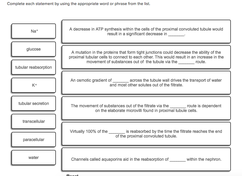 Solved Complete each statement by using the appropriate word | Chegg.com