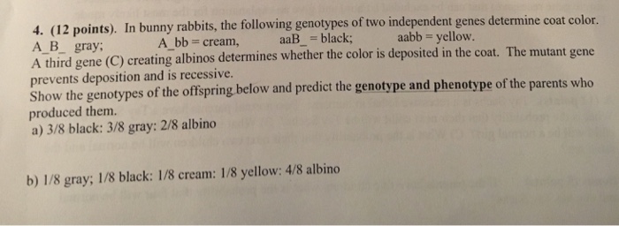 Solved In bunny rabbits, the following genotypes of two | Chegg.com