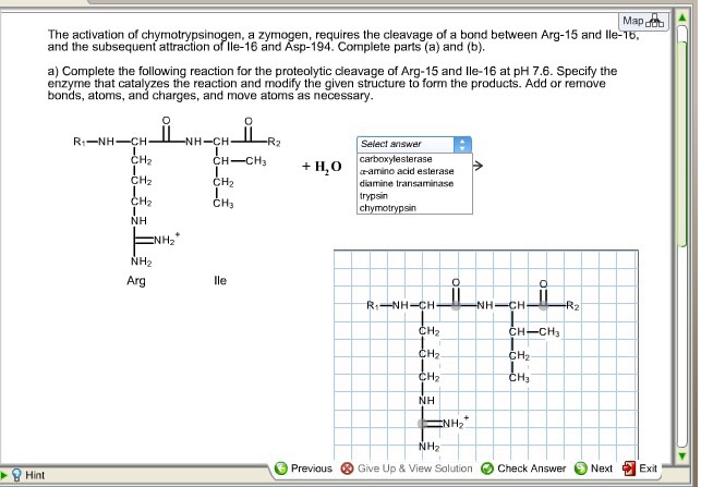 The activation of chymotrypsinogen, a zymogen, | Chegg.com