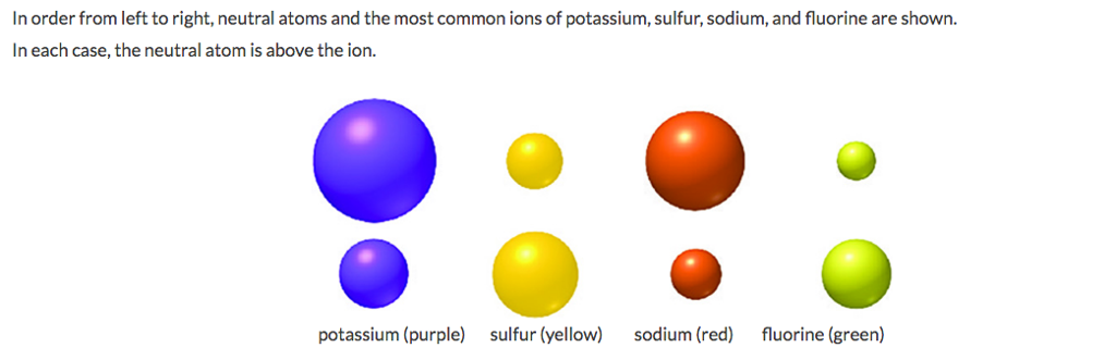 Solved In order from left to right, neutral atoms and the | Chegg.com
