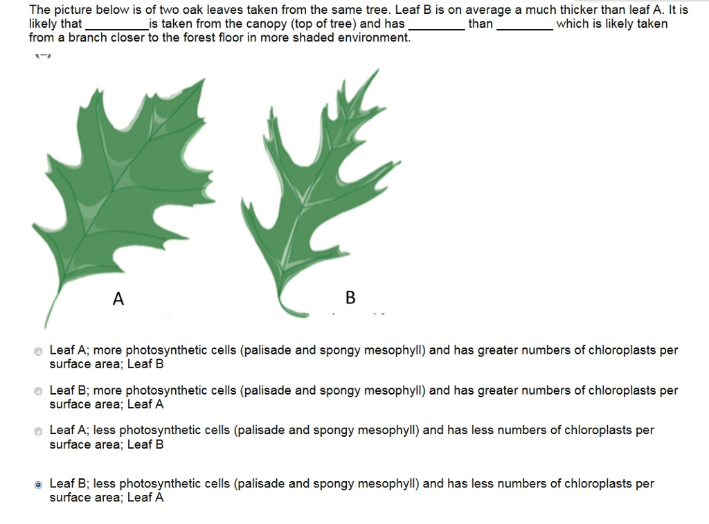 Biology Archive | February 06 2017 | Chegg.com