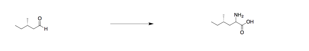 Solved NH2 OH | Chegg.com