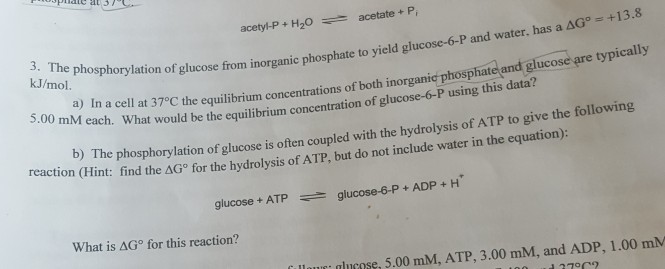 Solved acetyl-P + H20acetate+P 13.8 3. The phos k.J/mol. . | Chegg.com