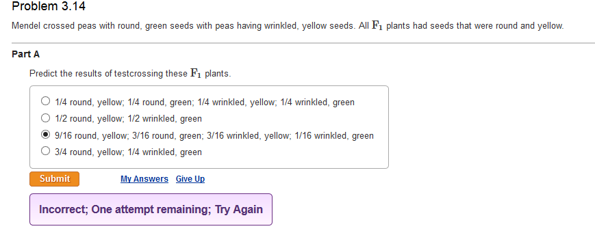 Solved Hi, I am having trouble with this question. I'm | Chegg.com