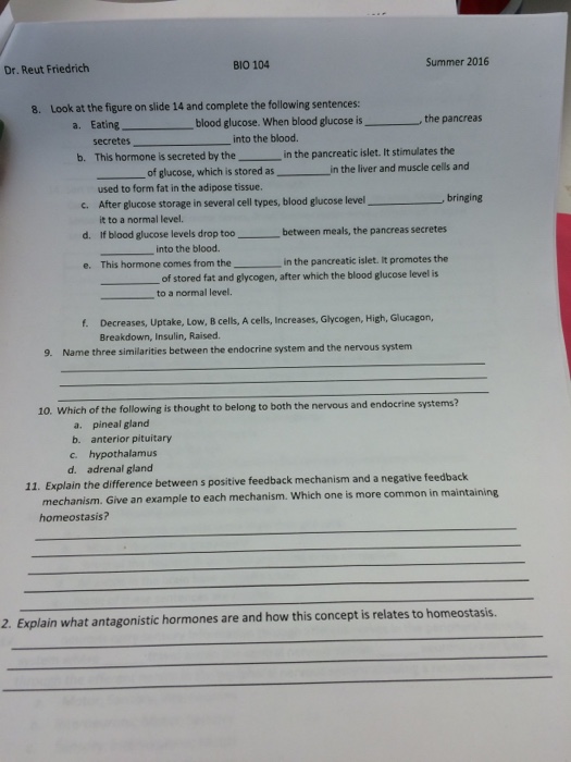 Solved Dr. Reut Friedrich BIO 104 Summer 2016 Look at the | Chegg.com