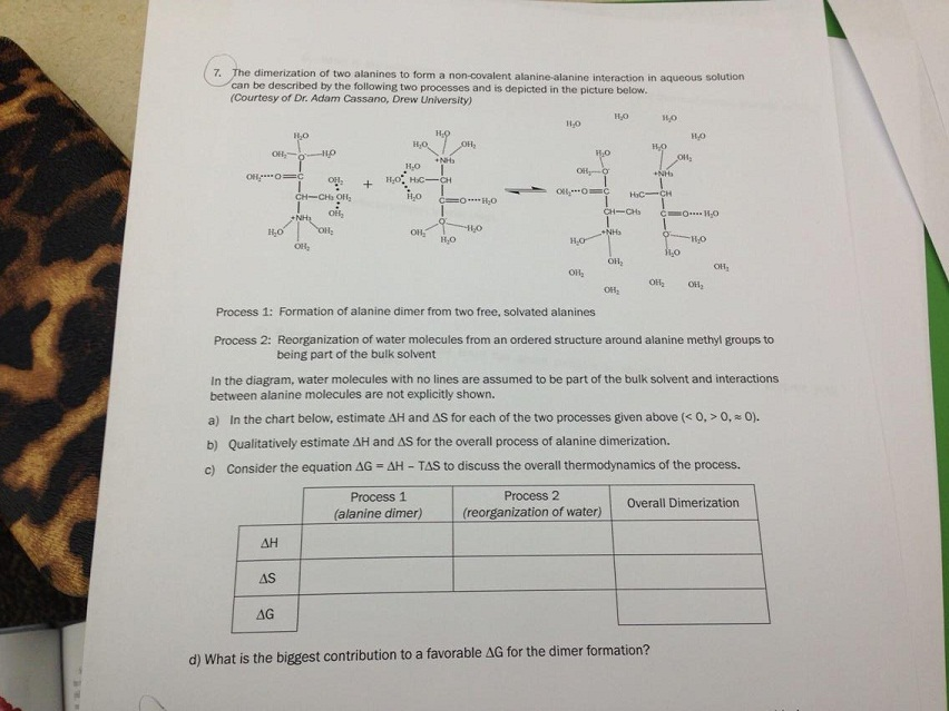 Solved The dimerization of two alanine's to form a | Chegg.com