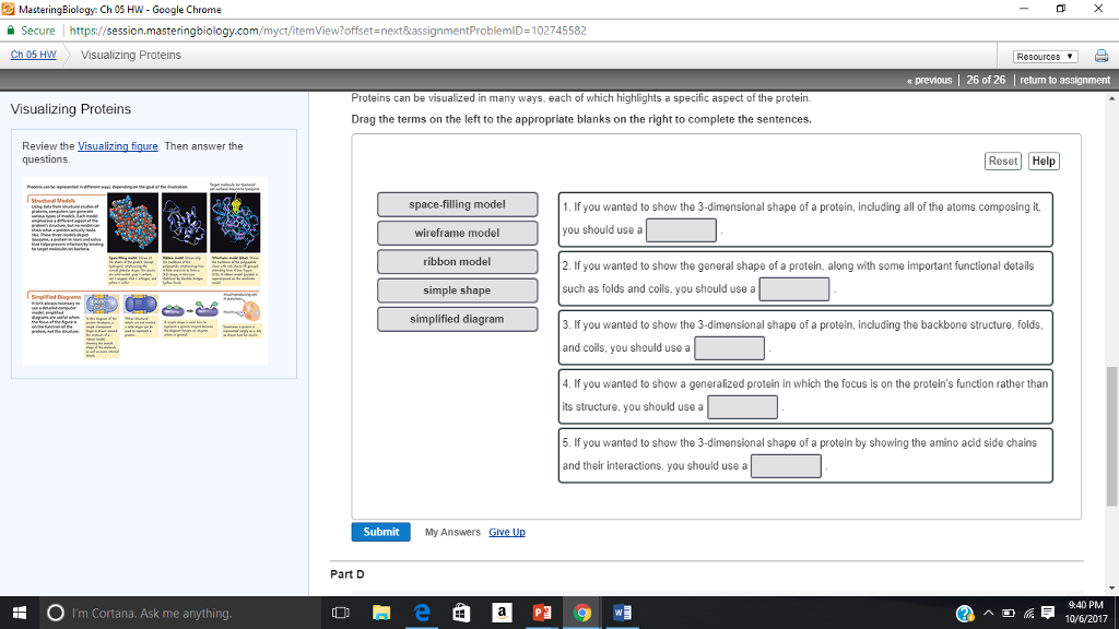 Solved: MasteringBiology. Ch 05 HW-Google Chrome 슬 Secure... | Chegg.com