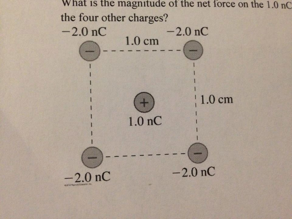 Solved What is the magnitude of the net force on the 1 nC | Chegg.com