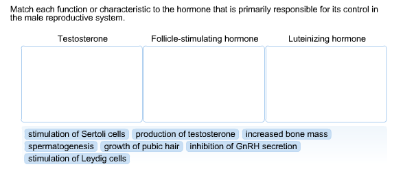 Match the Reproductive Hormone With the Correct Characteristic: Gnrh.