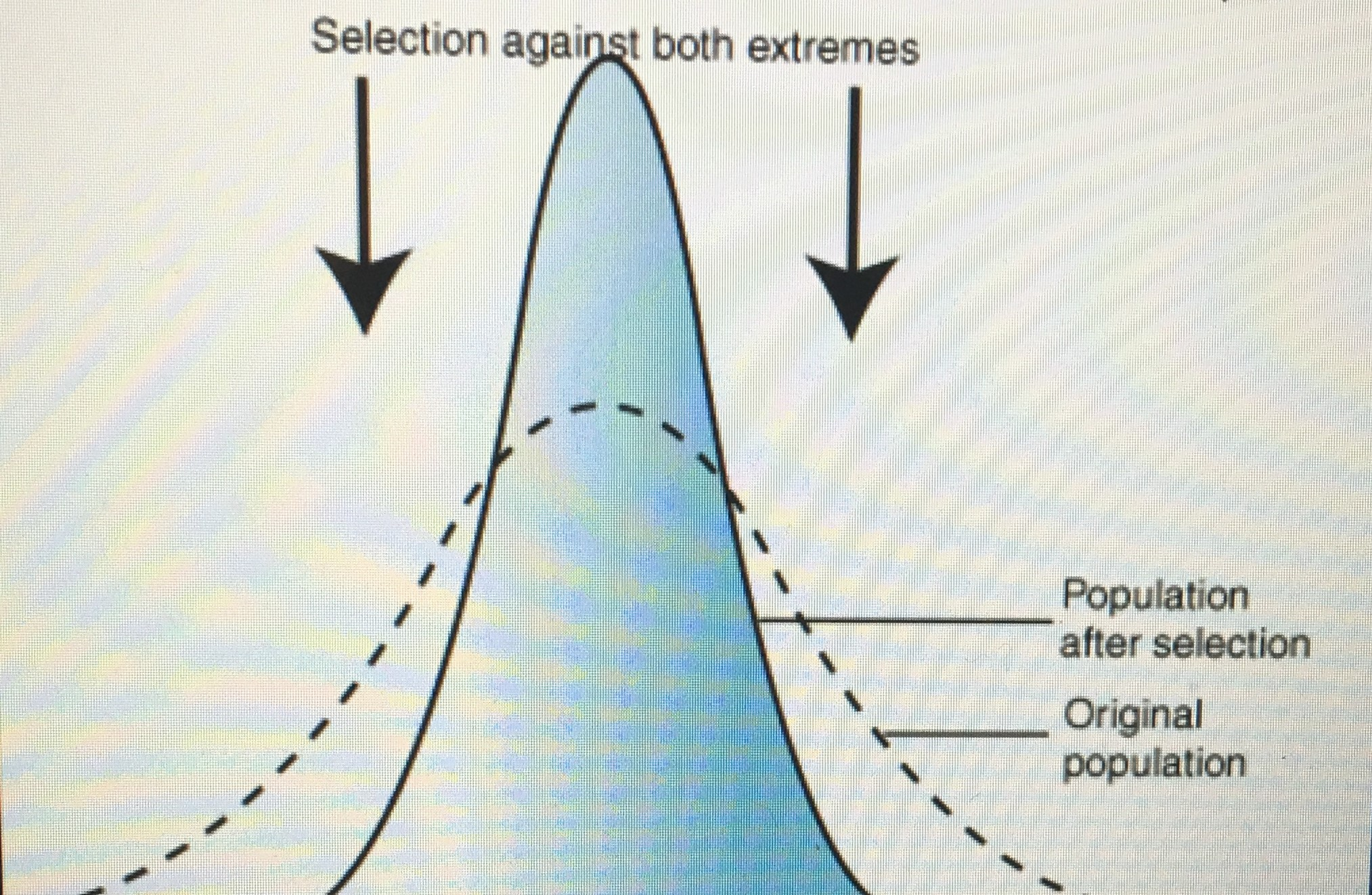 Stabilizing Selection Graph