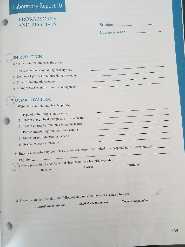 Solved Laboratory Report 10 PROKARYOTES AND PROTISTS Student | Chegg.com