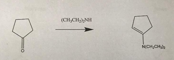 Solved (CH3CH2)2NH N(CH2CH3)2 | Chegg.com