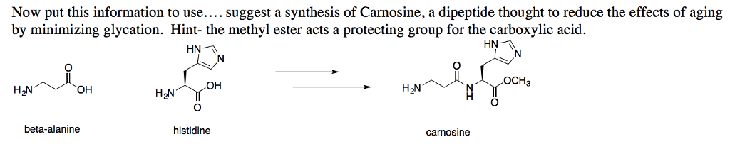 Solved Suggest a synthesis of Carnosine, a dipeptide thought | Chegg.com