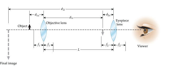Solved A custom-made compound microscope (see the figure | Chegg.com