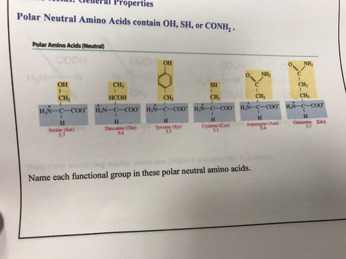Solved Polar Neutral Amino Acids contain OH, SH, or CONH_2. | Chegg.com