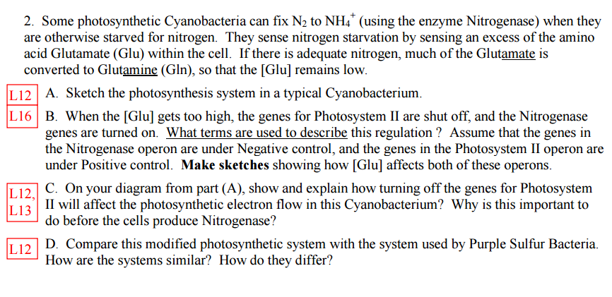 Solved Microbiology Question 2: Some photosynthetic | Chegg.com
