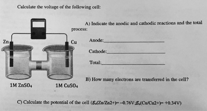 Solved Calculate the voltage of the following cell: Indicate | Chegg.com