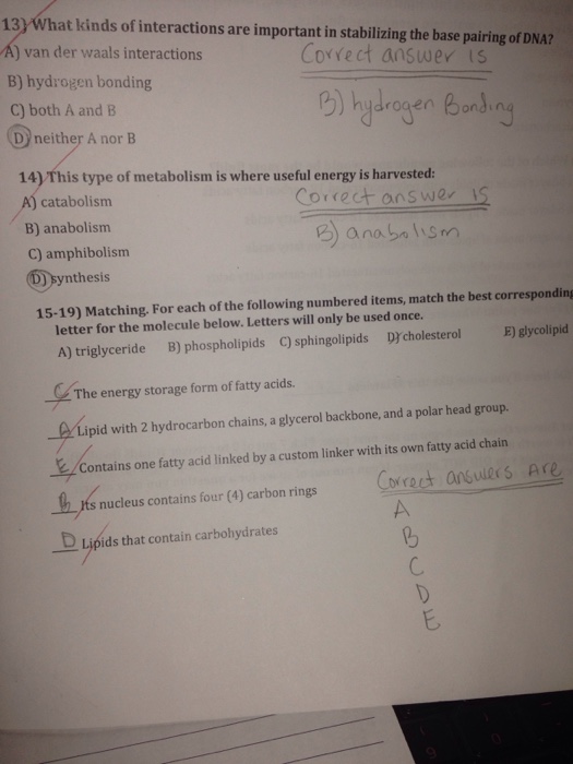 Solved Please explain to me why my answer choices were wrong | Chegg.com