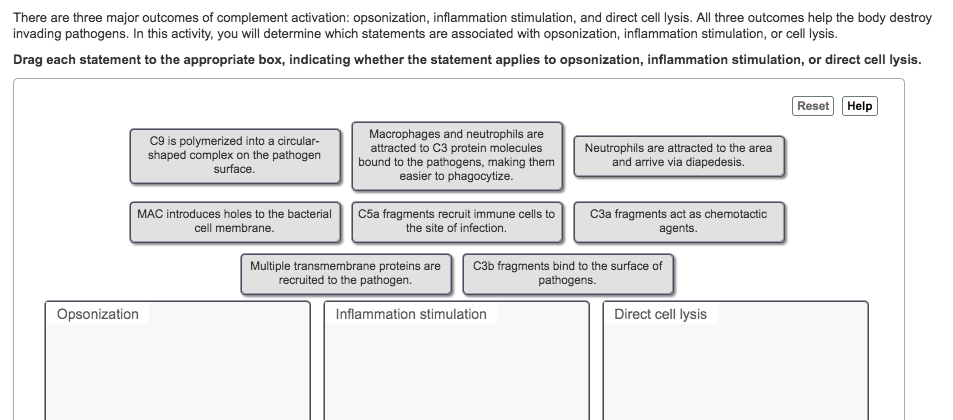 Solved Part C Methods of Complement Activation There are | Chegg.com