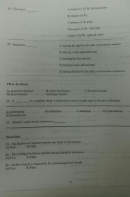 Solved anatomy questions | Chegg.com