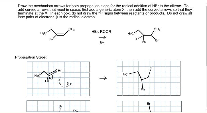 Solved Draw the mechanism arrows for both propagation steps | Chegg.com