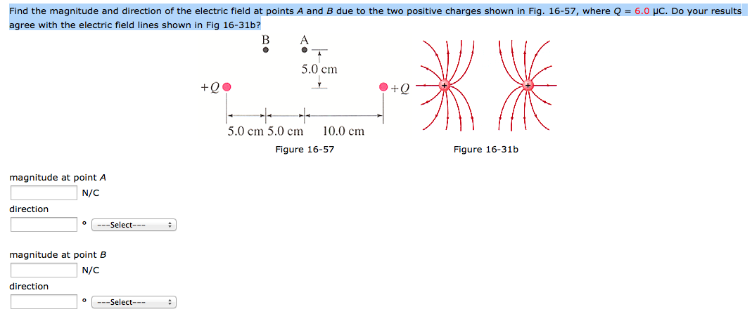 Solved Find the magnitude and direction of the electric | Chegg.com