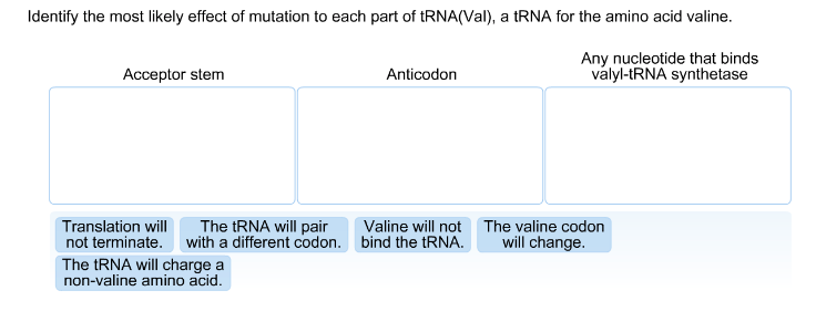 Solved Identify the most likely effect of mutation to each | Chegg.com