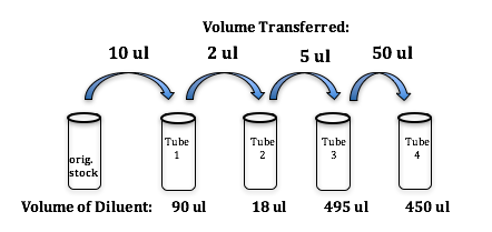 Solved a. What is the cell density in the final tube if the | Chegg.com