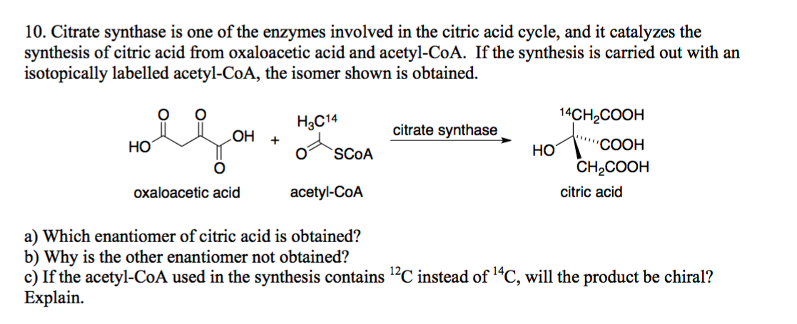 Solved Sort the perspective formula and the Fischer | Chegg.com