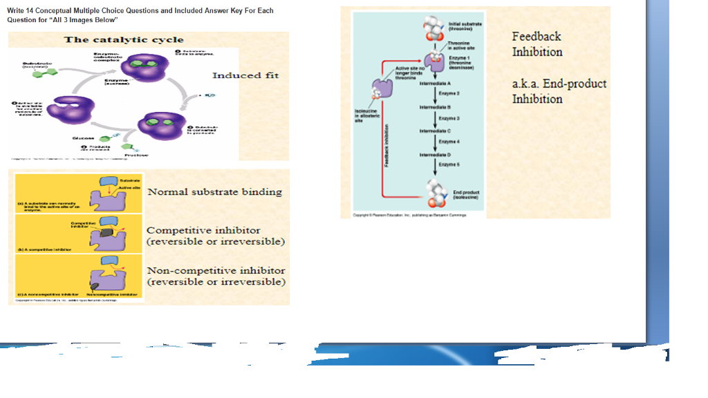 Solved Note: Write 14 Conceptual Multiple Choice Questions | Chegg.com