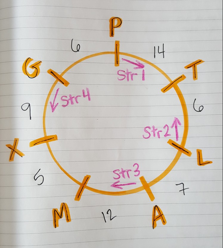 Solved 14 -Str. i Str2 str3 | Chegg.com