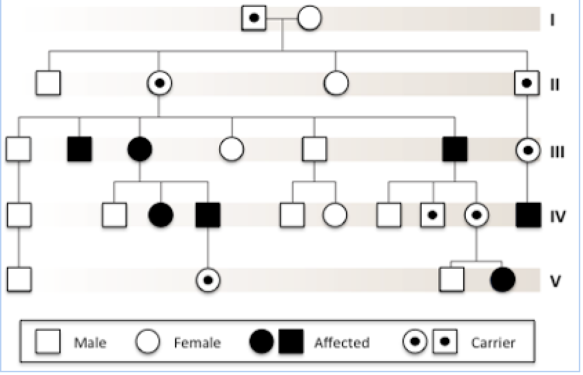 Solved Genetics Question!!!!! Here is a family pedigree | Chegg.com