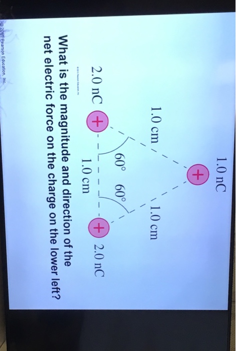 Solved What is the magnitude and direction of the net | Chegg.com