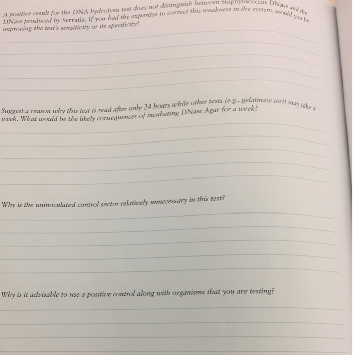 Solved According to the DNase Test(DNA Hydrolysis) | Chegg.com