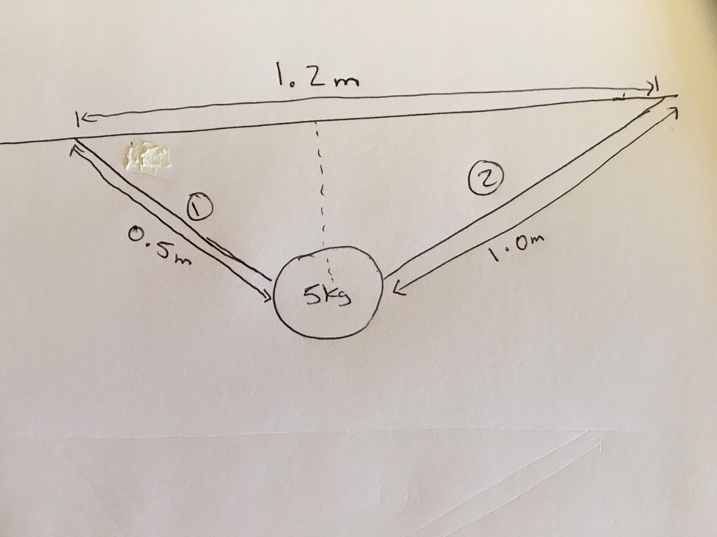 Solved A 5 kg mass hangs from two ropes. The first rope is | Chegg.com