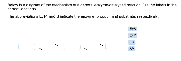 Solved Below is a diagram of the mechanism of a general | Chegg.com