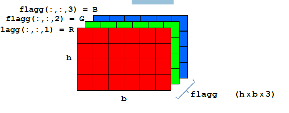 the flag consist of 200 x 300 pixels. This is done by | Chegg.com