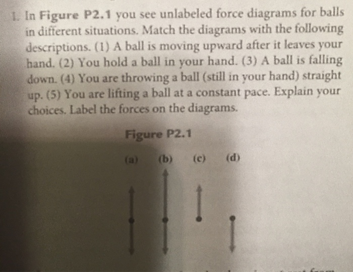 Solved you see unlabeled force diagrams for balls in | Chegg.com