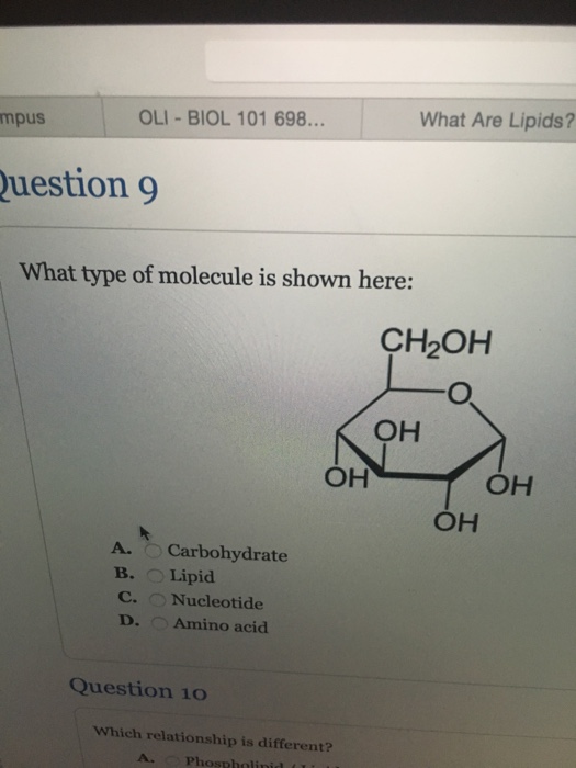 Solved What type of molecule is shown here: Carbohydrate | Chegg.com
