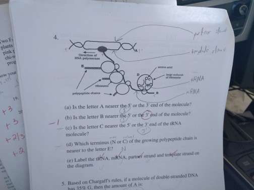 Solved can this question be explained? even the parts I got | Chegg.com